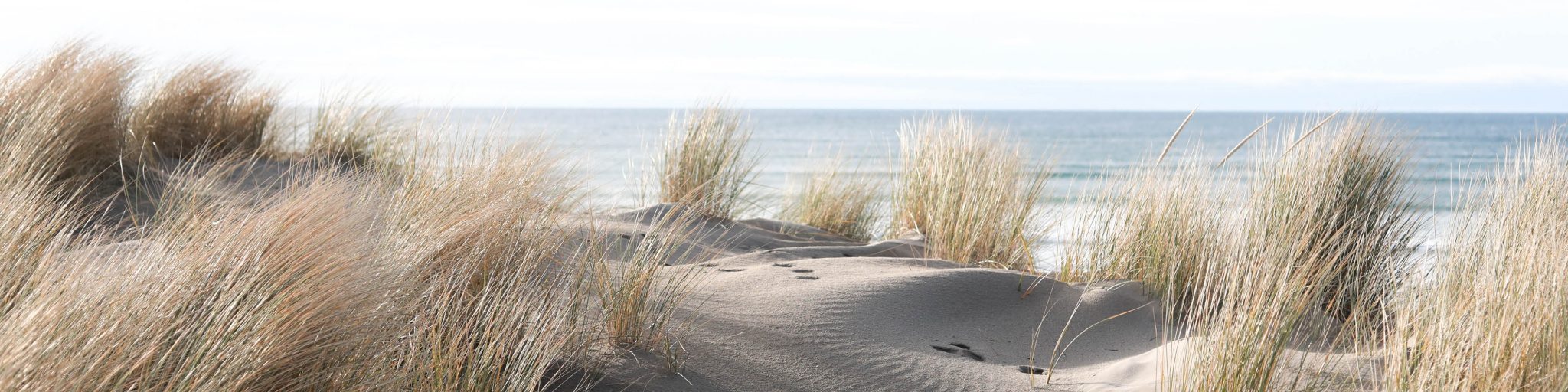 Skogán® finest Scandinavian collection - LosánNL